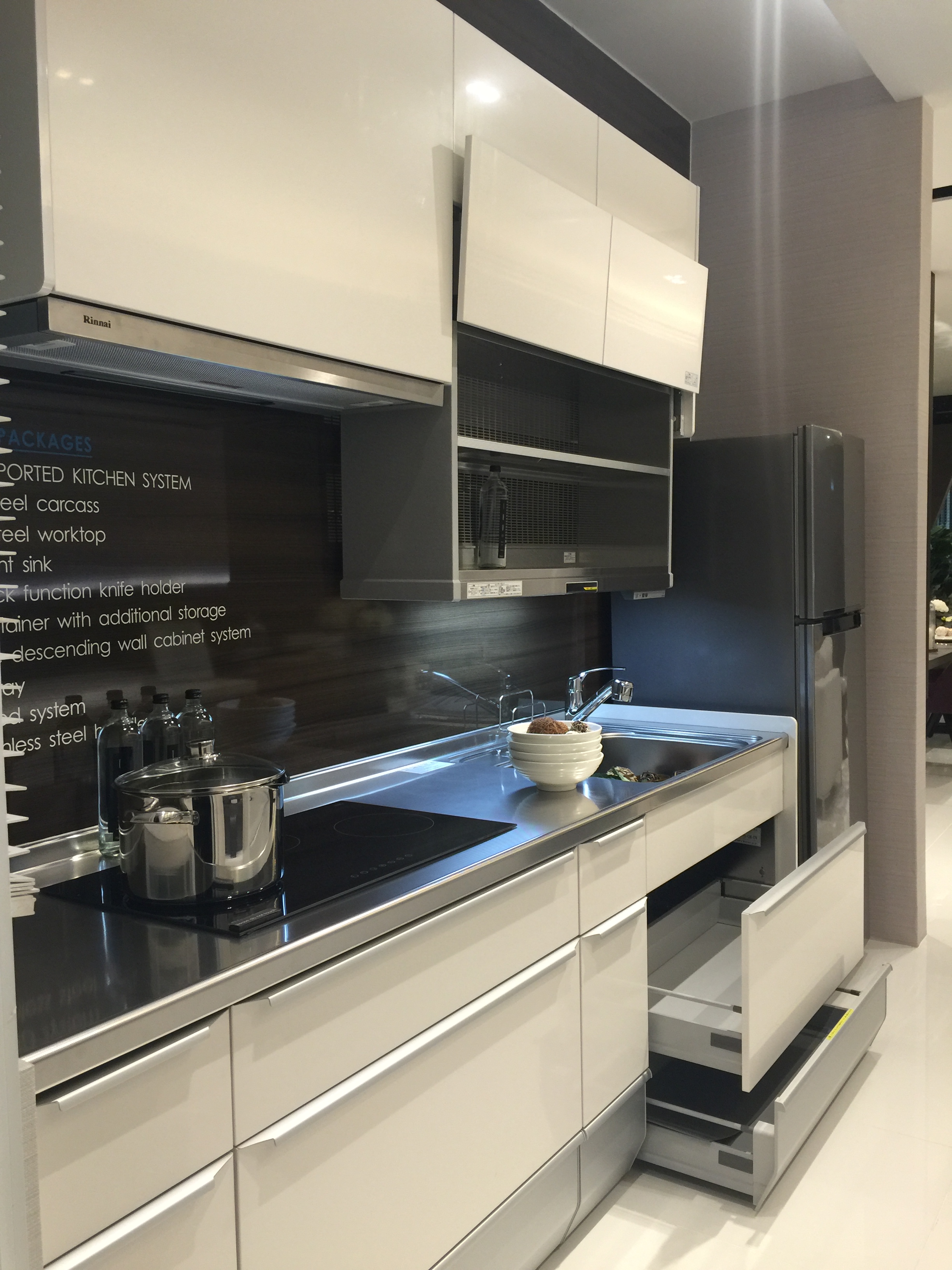 Japan Fully Imported Stainless Kitchen System | My Cleanup