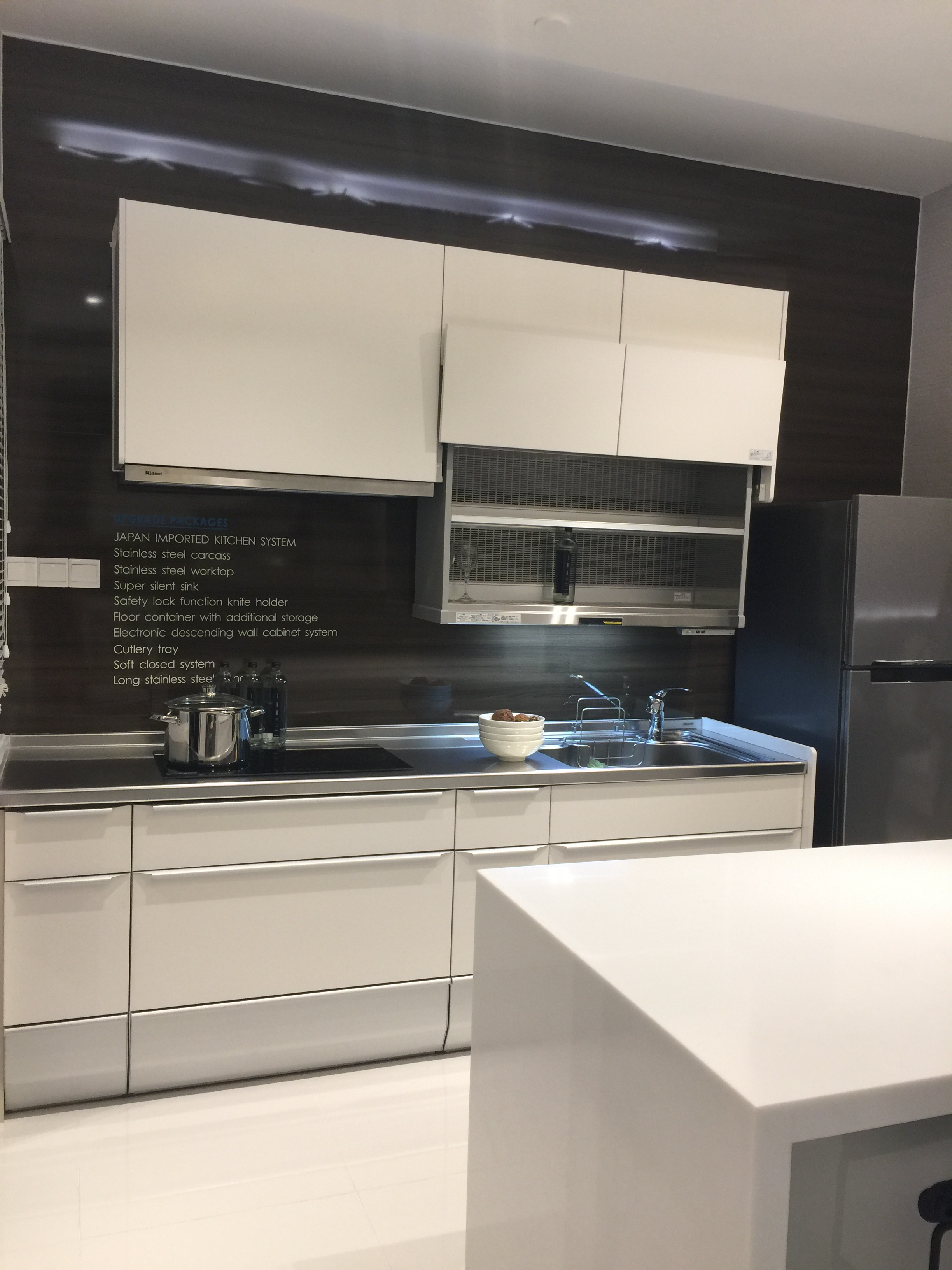 Japan Fully Imported Stainless Kitchen System | My Cleanup