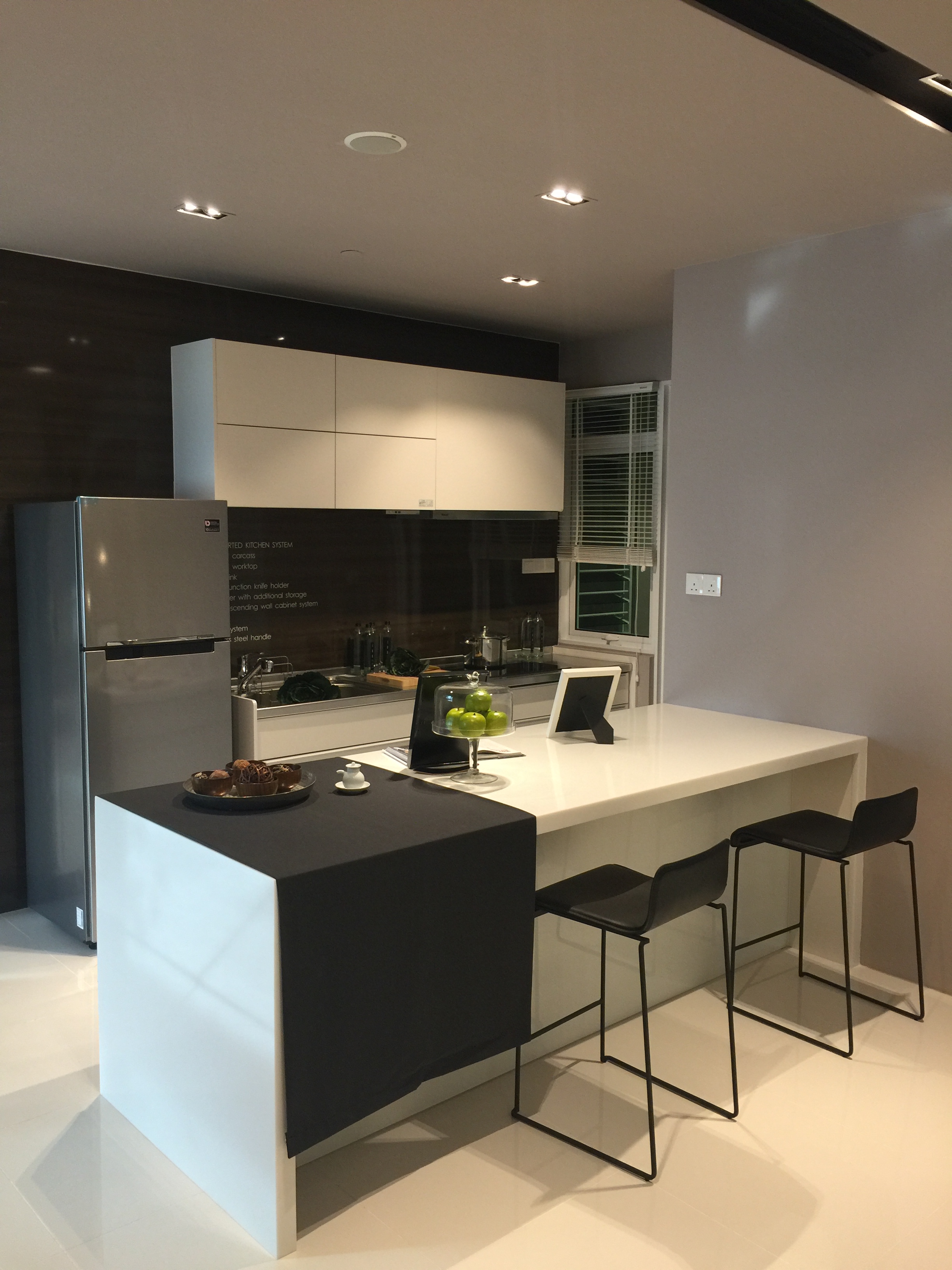 Japan Fully Imported Stainless Kitchen System | My Cleanup