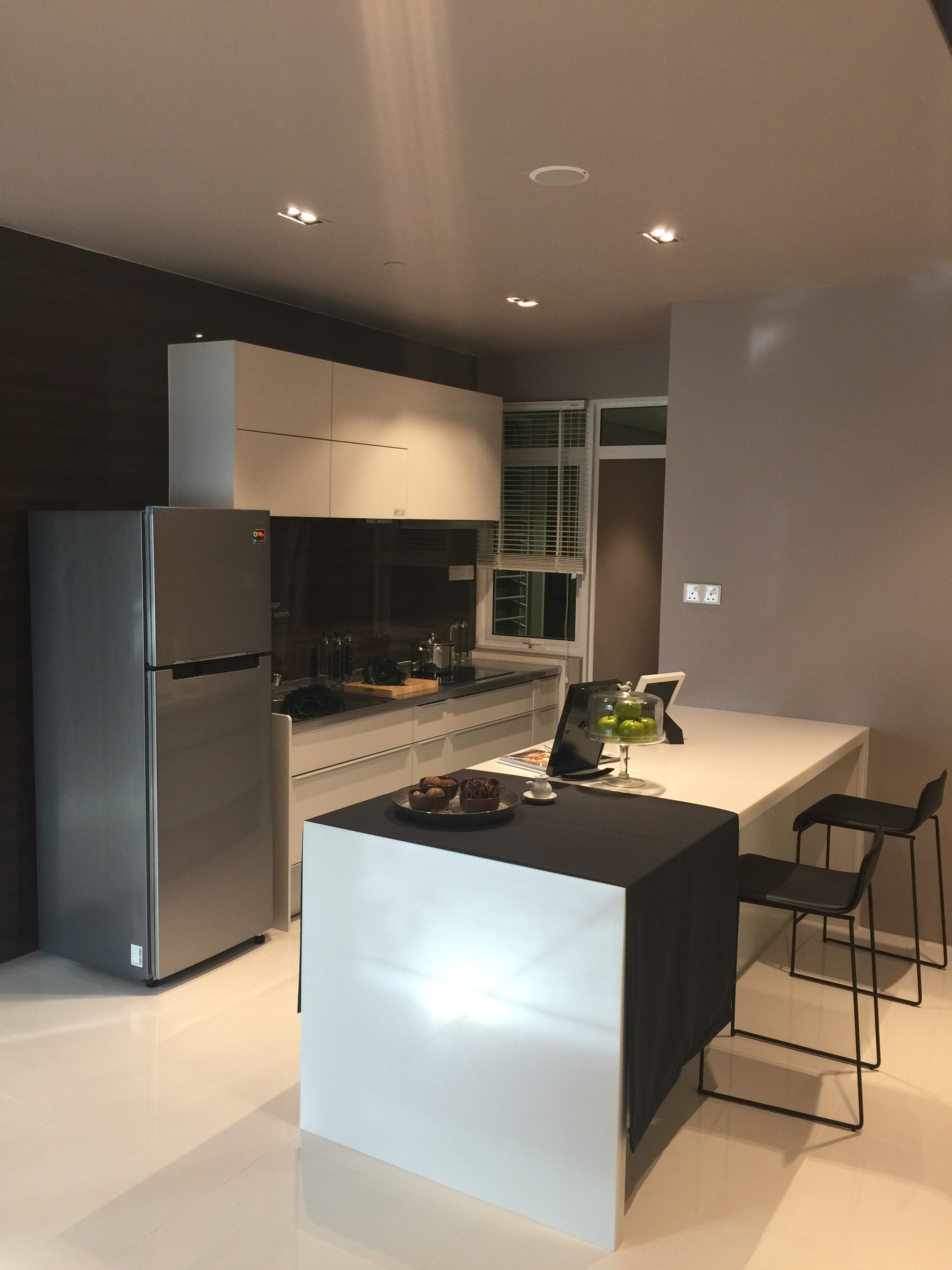 Japan Fully Imported Stainless Kitchen System | My Cleanup